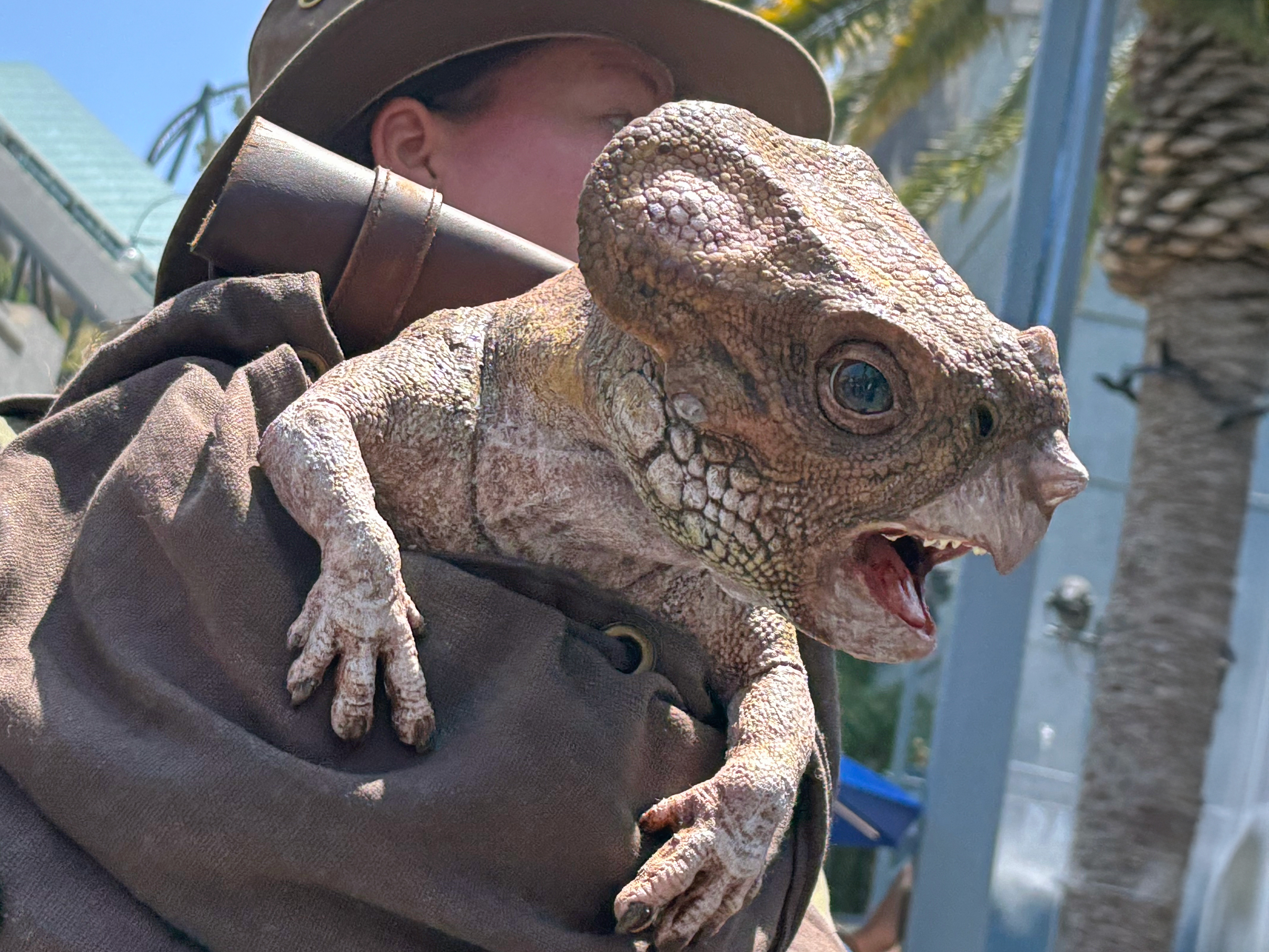 GUIDE: New Aquilops joins dino encounters for Universal Mega Movie ...